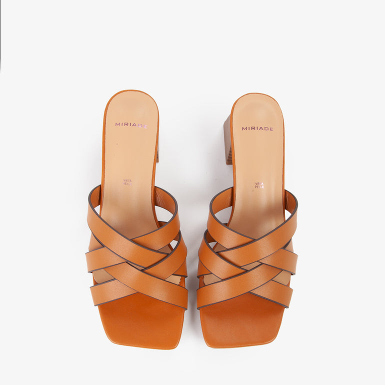 Discover the entire Miriade Collection